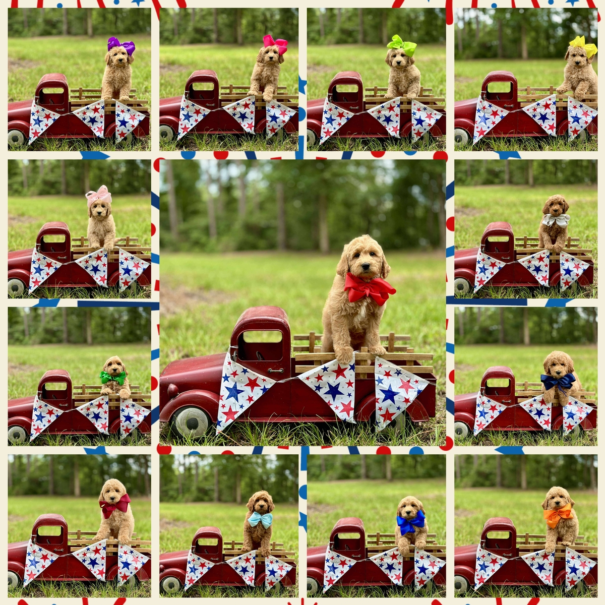 Wmberly's - Texas Doodles